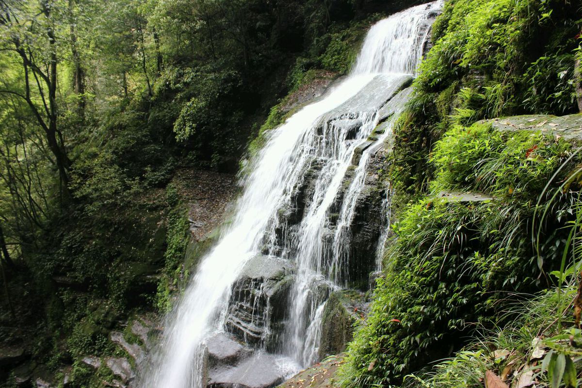 Bifengxia Scenic Area – China Reisen